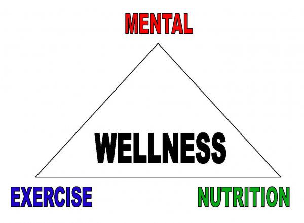 Week 8 - The Wellness Triangle - MKMMA - Lori Ann King